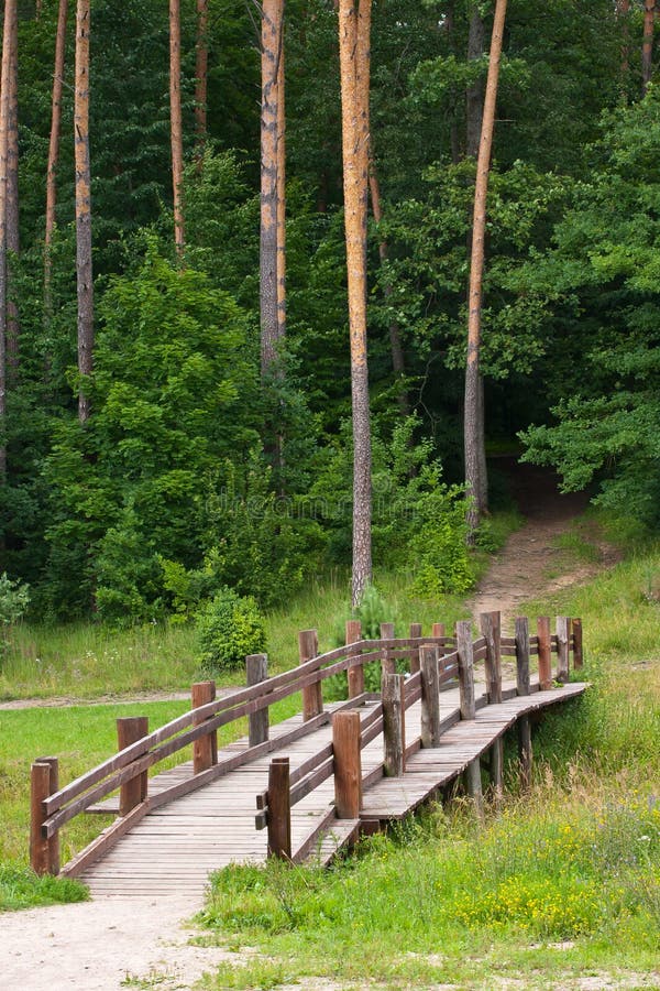 Wood bridge in forest stock photo. Image of lake, forest - 26534716