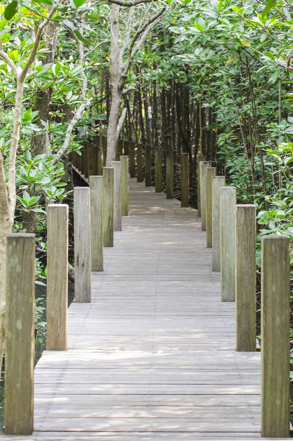 Wood bridge in the forest stock image. Image of garden - 30081743