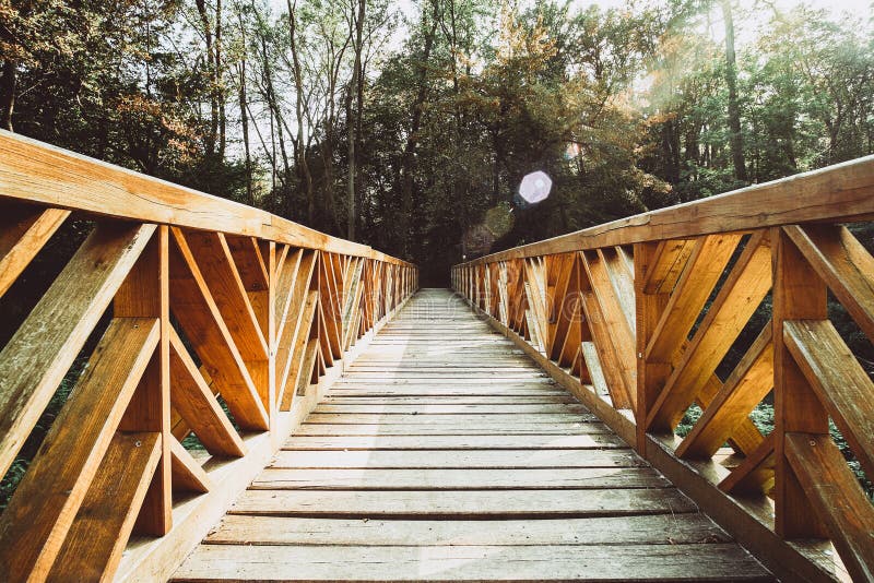 Wood bridge on the forest stock photo. Image of tourism - 132637596
