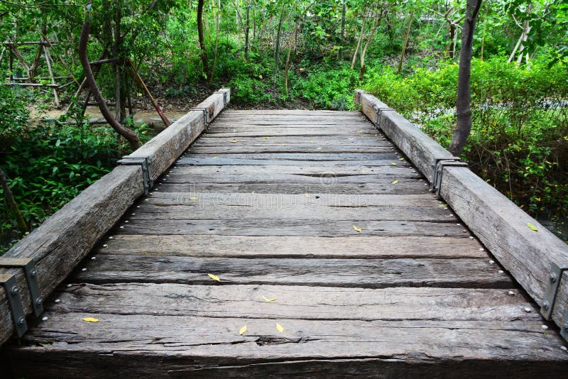 Wood bridge stock photo. Image of wooden, nature, scenic - 93854966