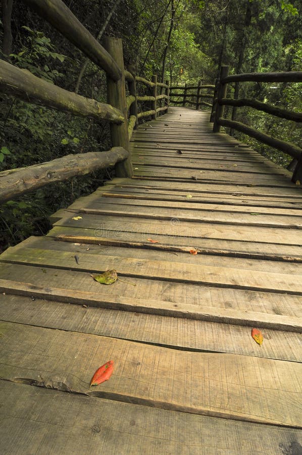 Wood bridge stock image. Image of adventure, hike, natural - 52757311