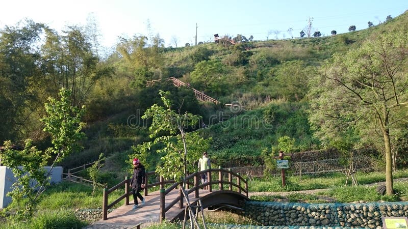 Wood bridge on hill editorial stock image. Image of wood - 79253014
