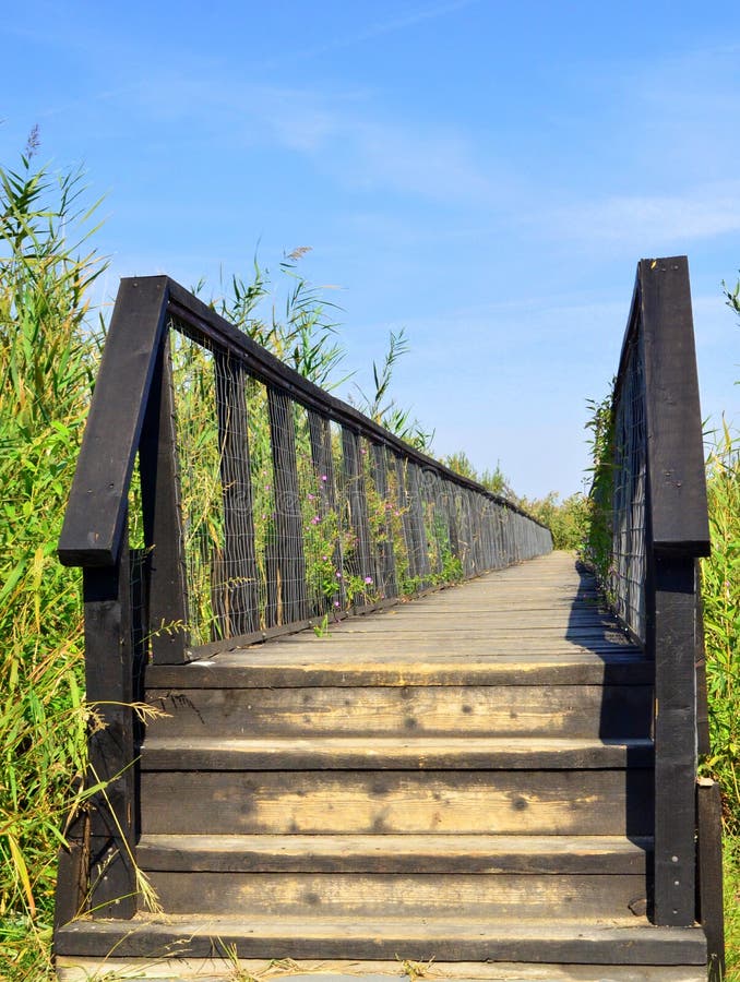 Wood bridge stock image. Image of boardwalk, tranquil - 33988845
