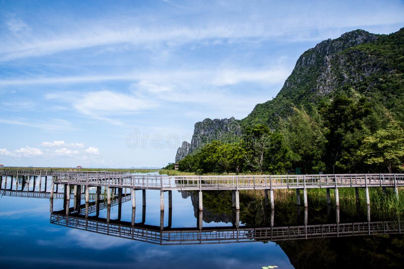 Wood bridge stock photo. Image of path, hike, plantation - 33886290