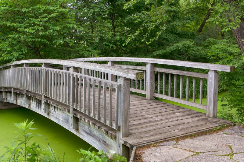 Wood Bridge Over Pond Panorma Stock Image - Image of panorama, green ...