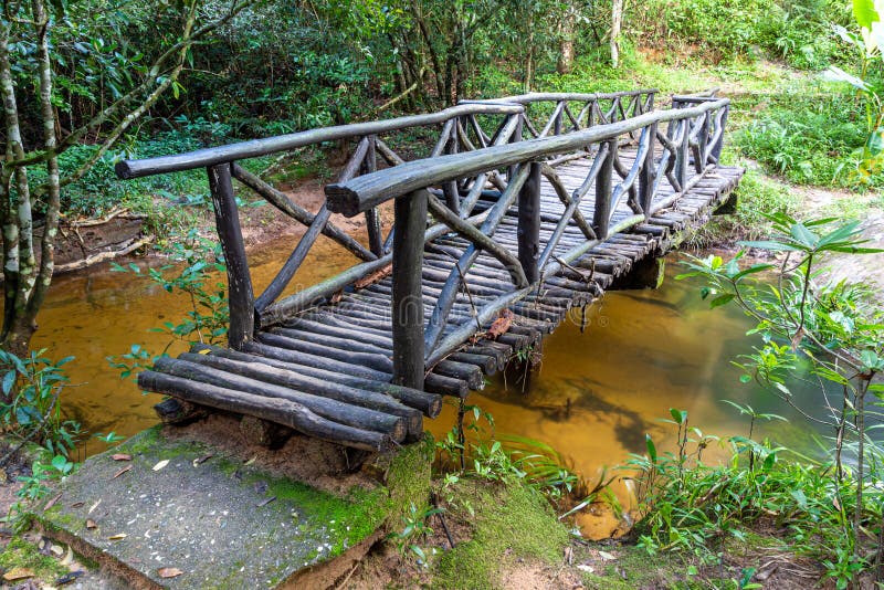 Wood bridge in the park stock image. Image of environment - 260660505
