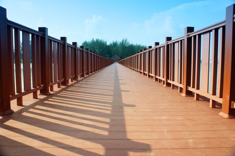 Wood path over garden stock photo. Image of leaf, lamp - 19405960