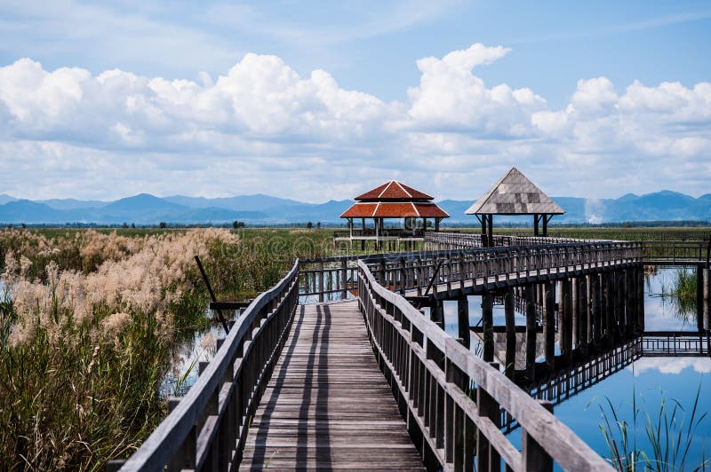 Wood bridge stock image. Image of mountain, porch, timber - 33886181