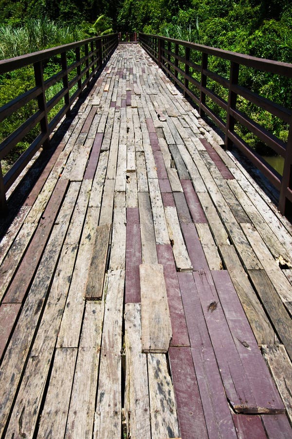 Wood bridge to jungle stock image. Image of access, nature - 15226525