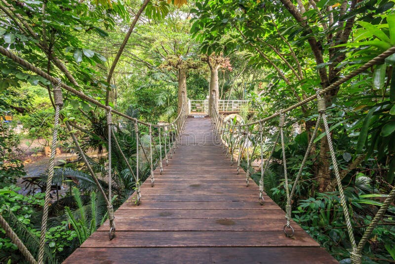 Wood Bridge for Walking in the Garden Stock Image - Image of tree, path ...