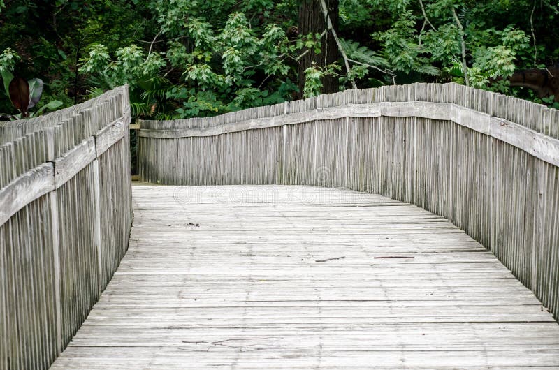 Winding Wood Bridge in the Forest Stock Image - Image of park, green ...