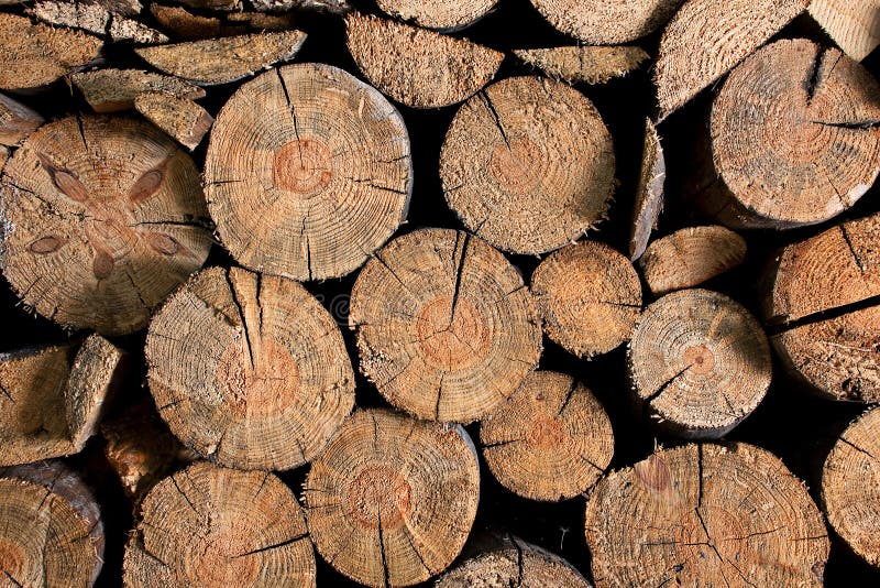 Wood Log Stock Photos - Download 138,801 Royalty Free Photos