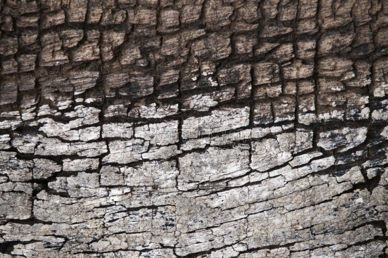 The Wood Burned Texture Pattern Design for Wallpaper Stock Image ...