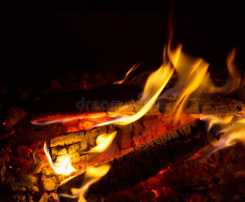 Log Fire Wood from Birch-tree Stock Photo - Image of energy, wood ...
