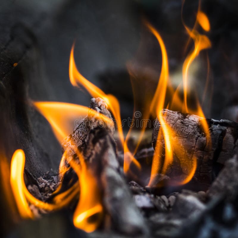 Golden Flames stock image. Image of firey, colors, colour - 4766985