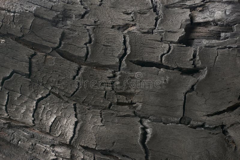 Wood Burnt Texture Background Surface Stock Photo - Image of structure ...