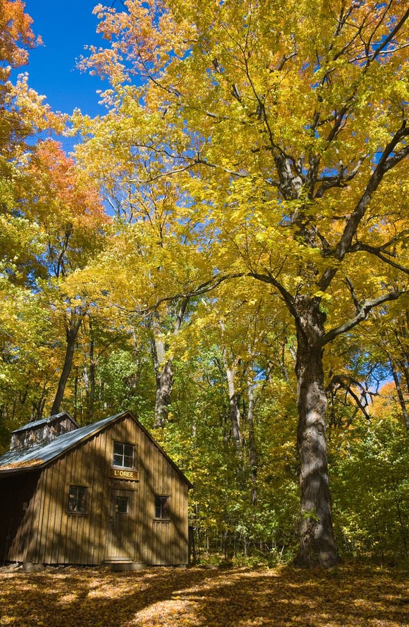 Cabin in the Woods stock photo. Image of residence, fall - 6276232
