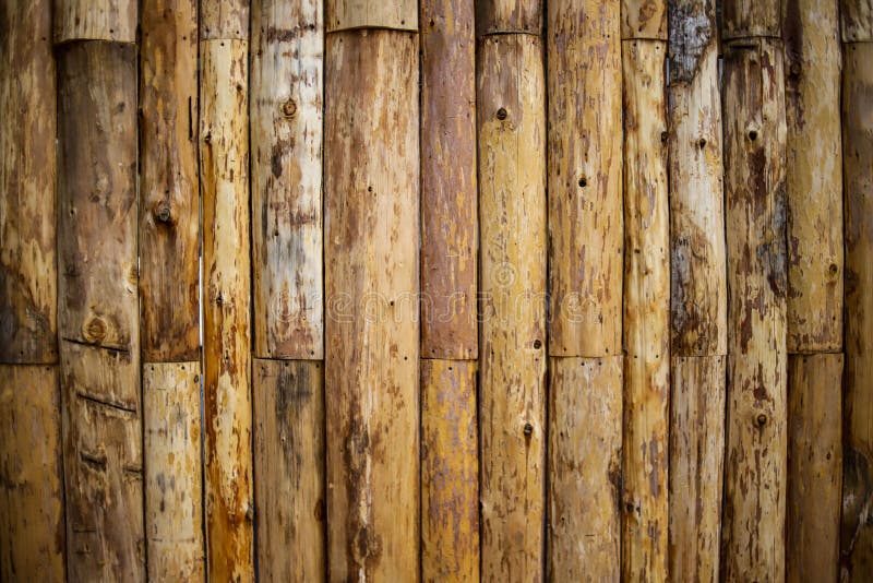 Wood texture of a cabin stock image. Image of surface - 265497971