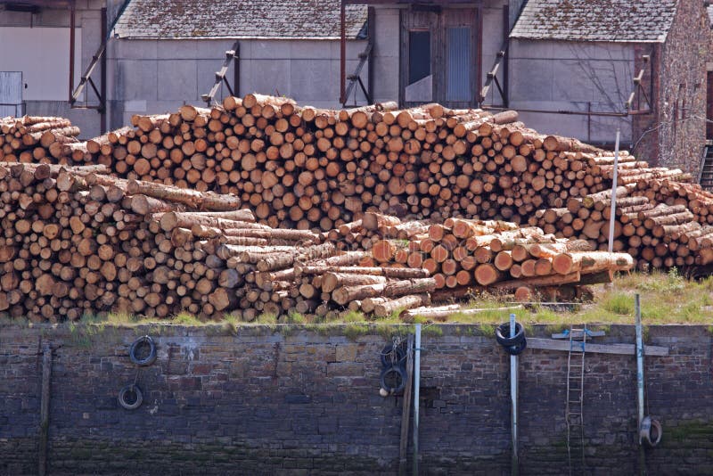 Wood Cargo stock image. Image of harness, sawed, pine - 28237167