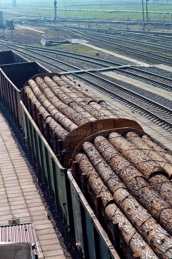 Wood, Cargo, Train, Logs, Wagon, Sorting, Logging, Lumber Stock Image ...