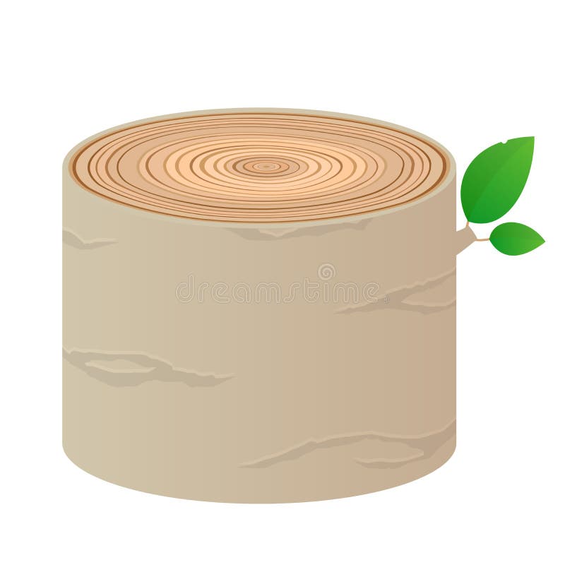 Wood Cartoon Log Isolated Vector Objects Tree Stock Vector ...