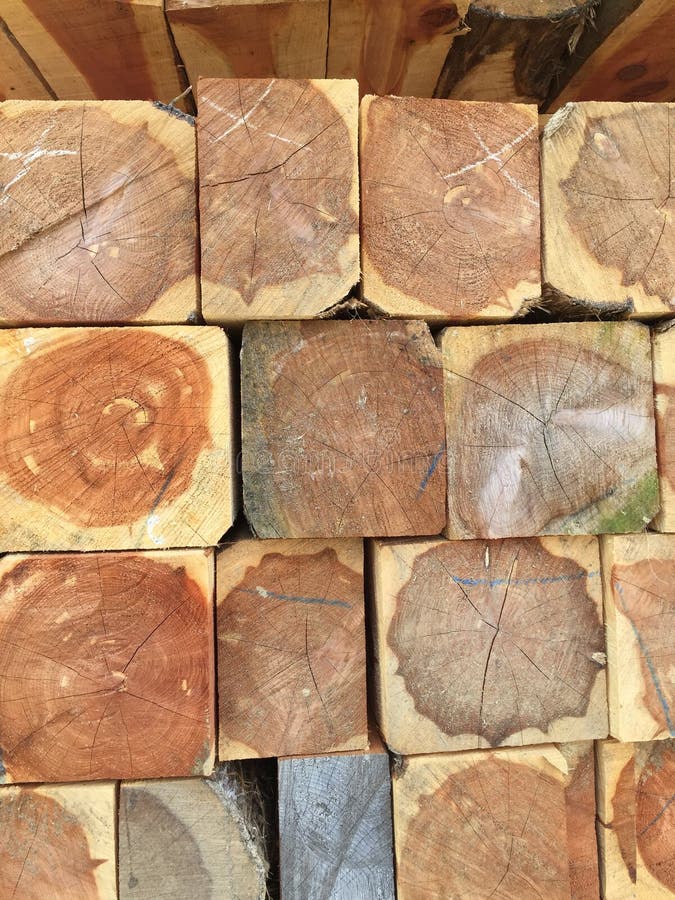 Wood cedar logs stock photo. Image of blocks, logs, wood - 57587420