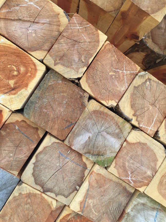 Cedar Logs stock image. Image of people, burning, wood - 45215425