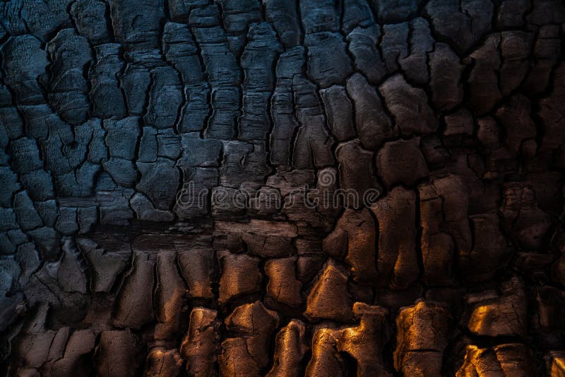 Texture of burnt wood. stock photo. Image of burnt, rings - 69506294