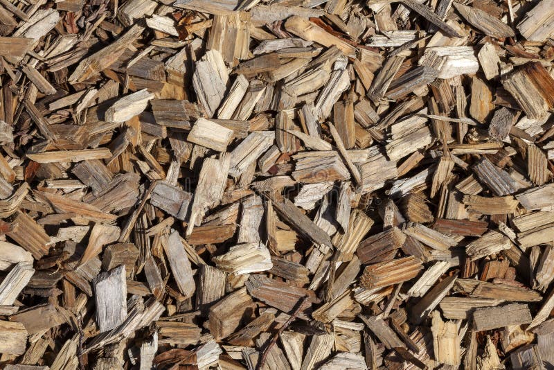 Wood chip bark chippings stock image. Image of chip - 242395805 Wood chip bark chippings stock image. Image of chip - 242395805
