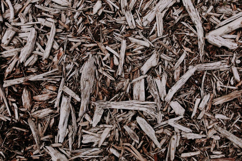 Wood Chip Pieces on the Ground in Different Shapes and Sizes. Stock ...