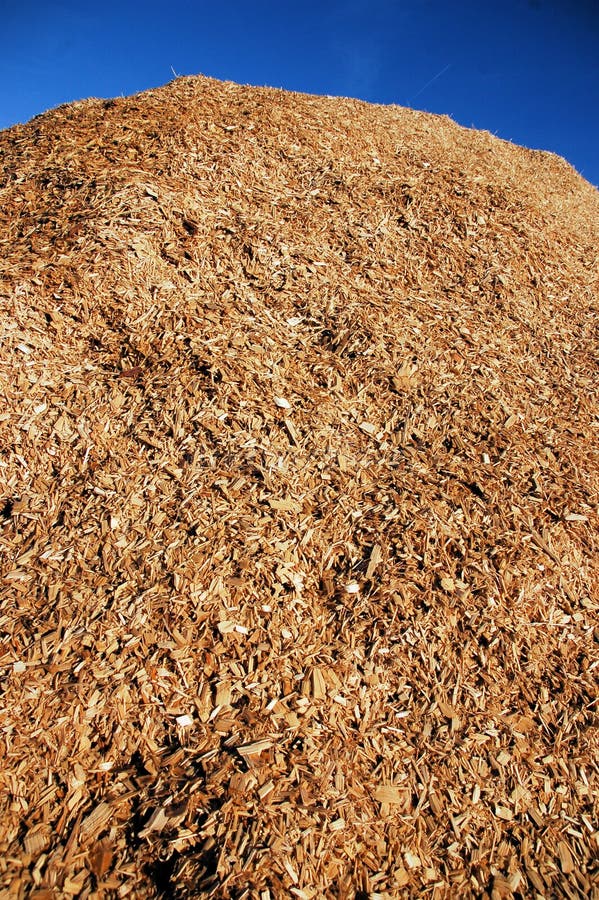 Wood chip pile stock photo. Image of fuel, boiler, chop - 4204376