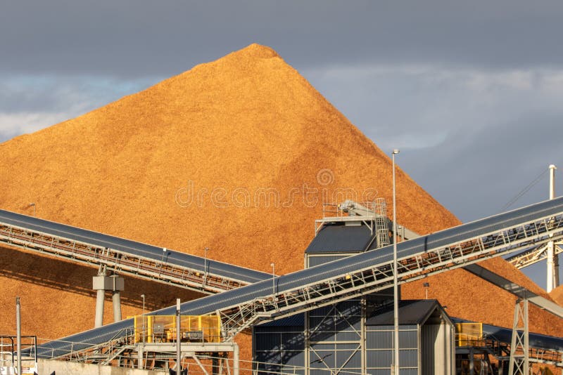 Wood Chip processing stock image. Image of radiata, processing - 245014725