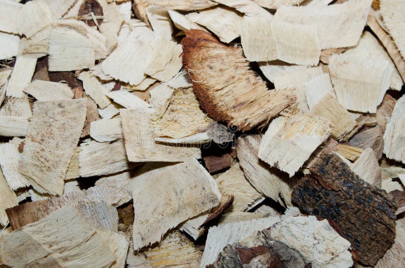 Chip Stack stock photo. Image of play, chip, green, betting - 19821904