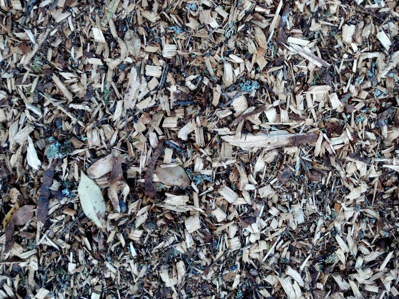 Wood Chip Texture Background Stock Image - Image of background, recycle ...