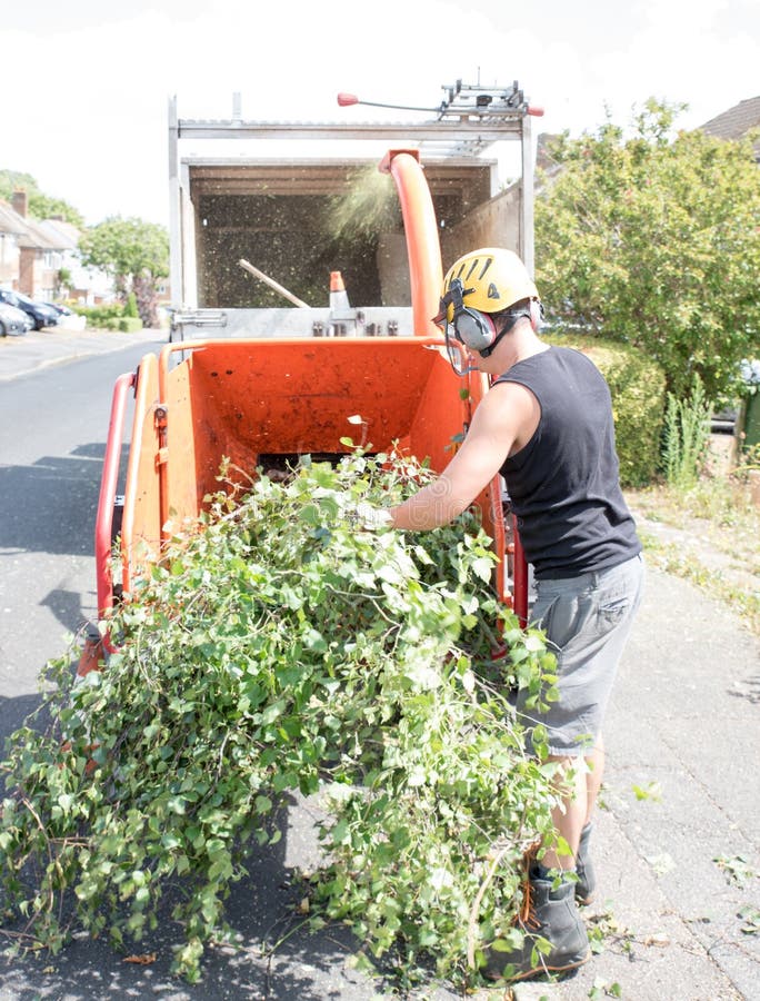 Wood Chipping Machine at Work Stock Image - Image of cleanup, industry ...