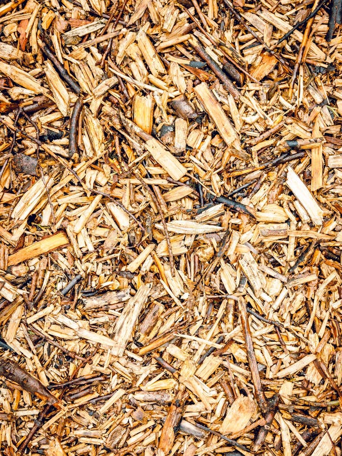 Wood Chips, Background. Botanical Garden. Dry Grass. Stock Image ...