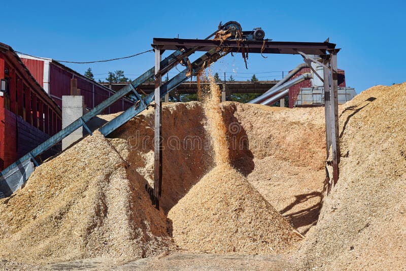 Wood Chips Flying Off the Conveyor at the Sawmill Stock Image - Image ...