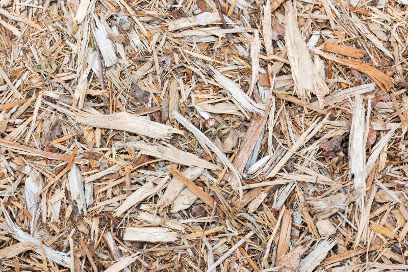Wood Chips for Landscaping in the Gardens. Stock Photo - Image of floor ...