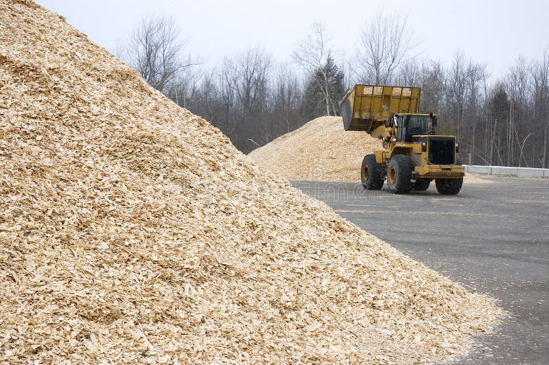 Wood Chips Storage Lot - Used for Biofuel Stock Image - Image of ...