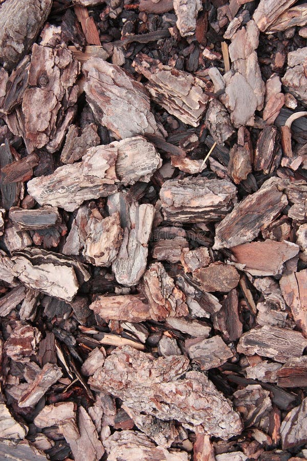 Wood Chips stock photo. Image of material, textures, carpentry - 58461196