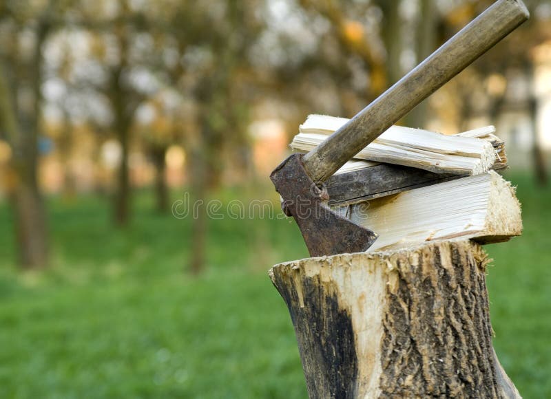 Wood chop stock photo. Image of lifestyle, chopped, nature - 9012342