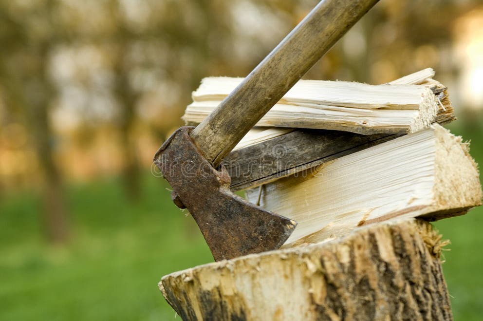 Wood chop stock image. Image of masculine, nature, logs - 9012369