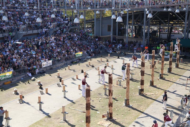 Wood Chop Competition Log stock photo. Image of country - 231959614