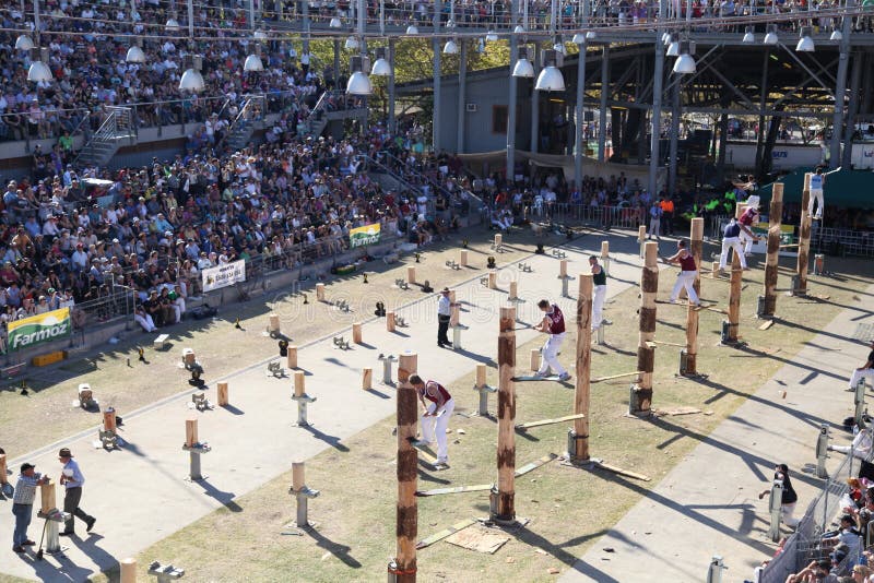 Wood Chop Competition, Sydney Easter Show Editorial Photography - Image ...
