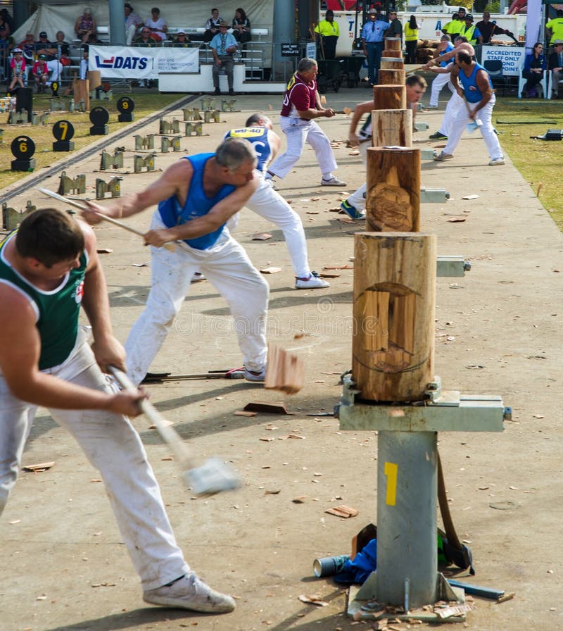 Wood chopping competition editorial image. Image of active - 52374305