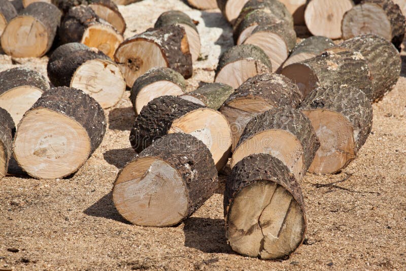 Wood chunks stock image. Image of forestry, ring, closeup - 29227833