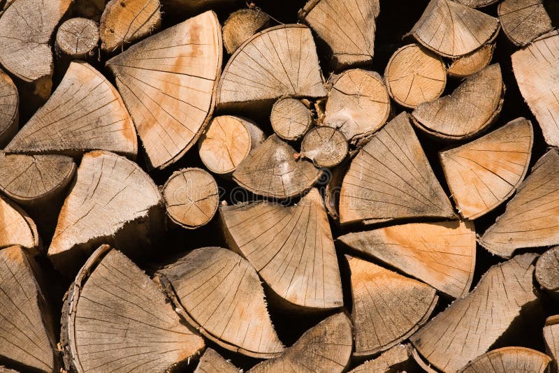 Wood Chunks Picture. Image: 5946891