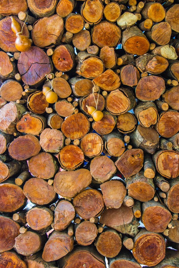 Wood Circle Background Texture Stock Image - Image of texture, white ...