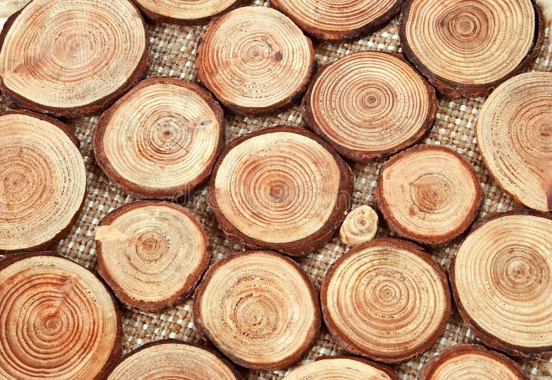 Wood Circles with Annual Rings Stock Photo - Image of piece, forest ...