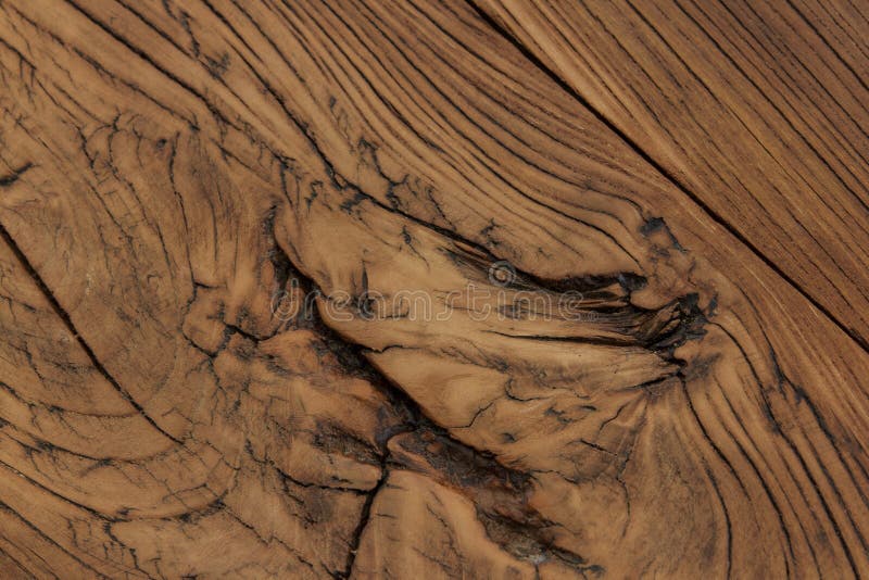 Wood, Close Up, Geology, Tree Picture. Image: 121556264
